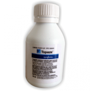 RHODAX FLASH 300GR - Freshio